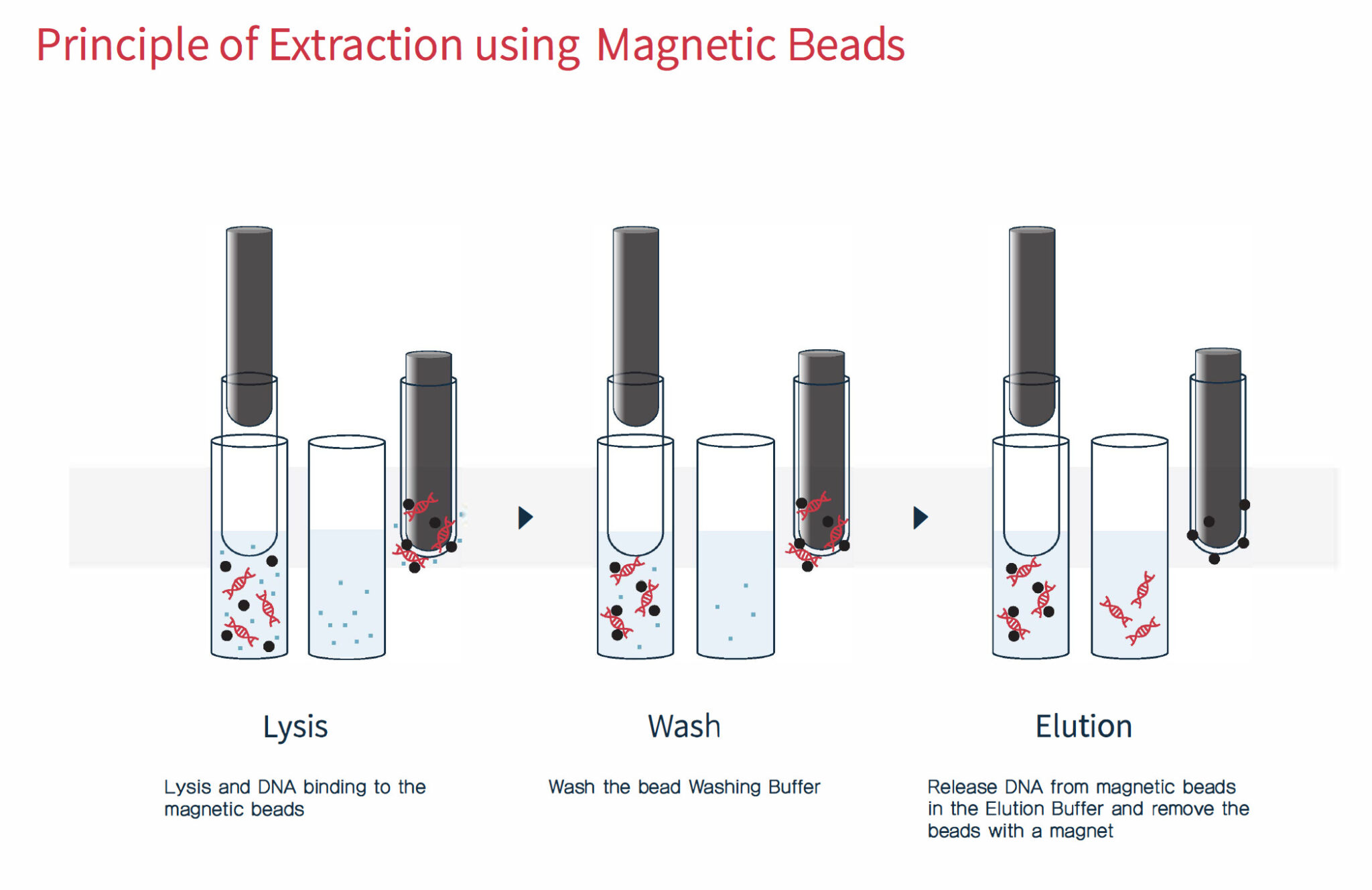 Genolution Nextractor NX-48S Automated DNA/RNA Extractor