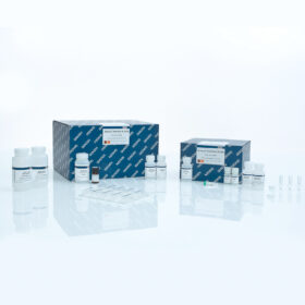 QIAamp Viral RNA Mini Kit (250) - JANT PHARMACAL CORPORATION