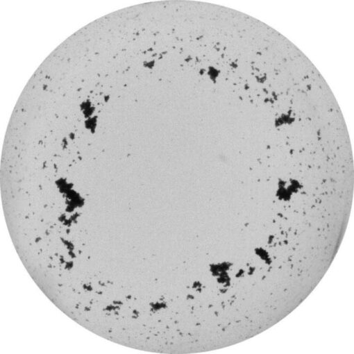 AIX1000 Automated RPR Instrument for Syphilis Serology